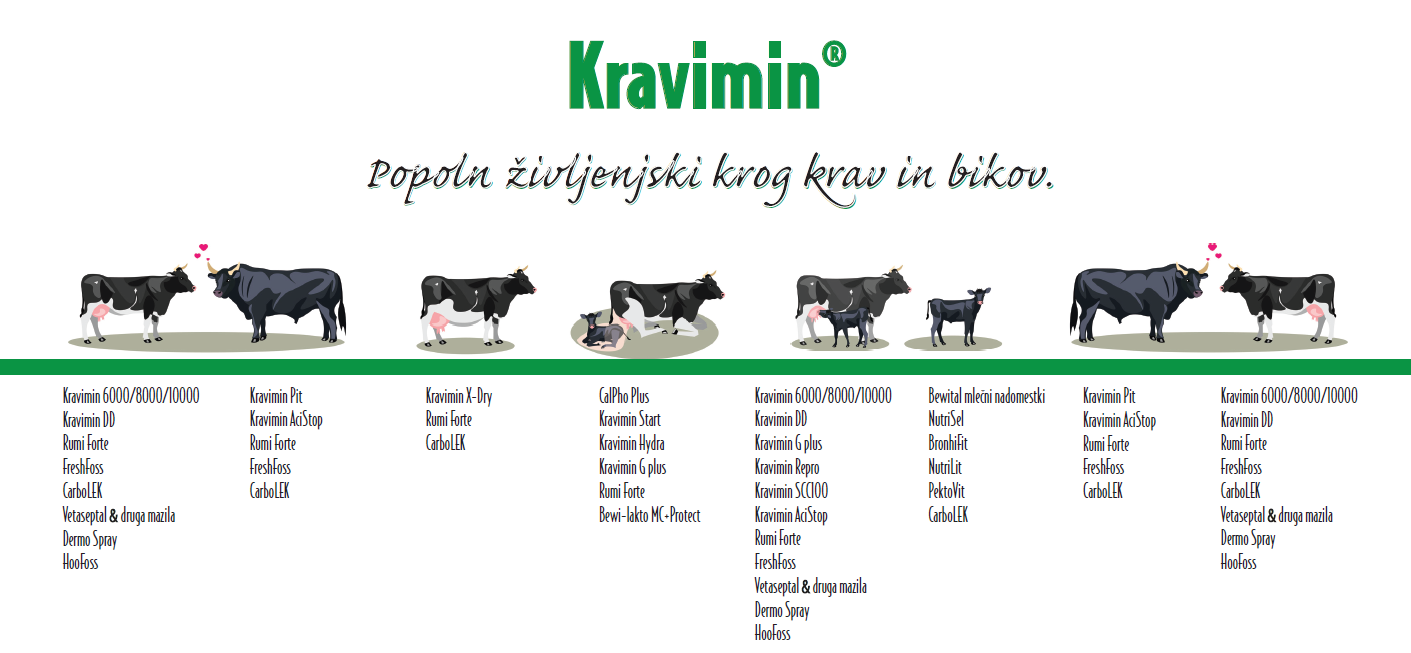Vzreja goveda | Lek Veterina